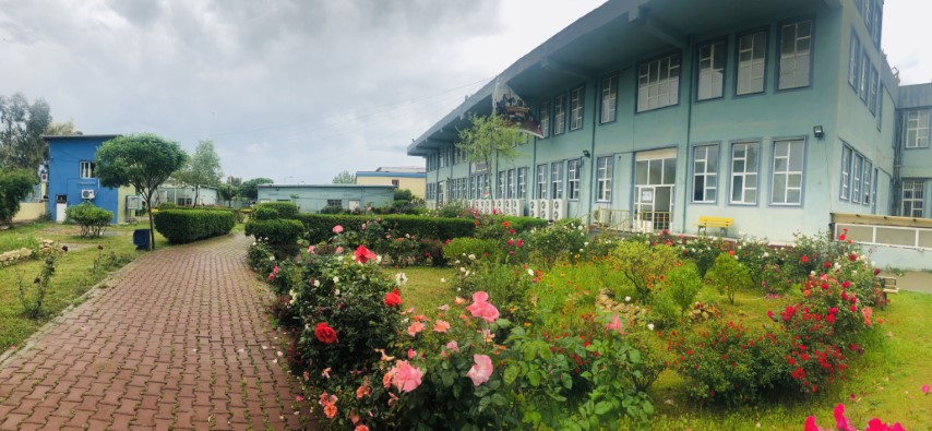 Bayan University | University in Erbil